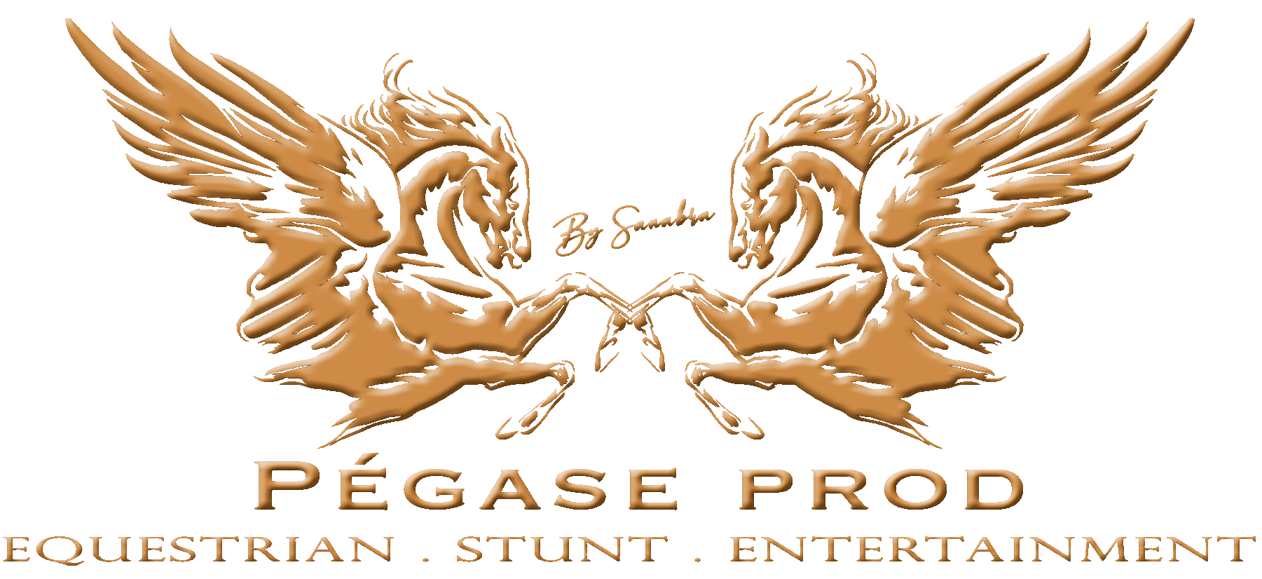 Pegase Prod Frédéric Sanabra Cascadeur Régleur Formateur